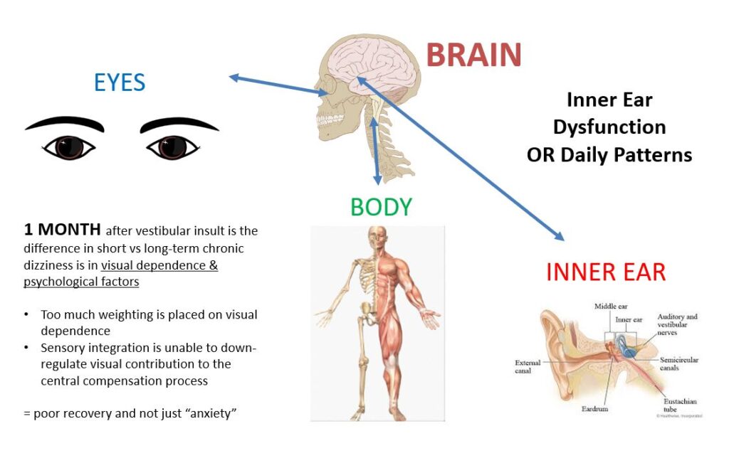 Akathisia: Symptoms, Causes, Diagnosis, Treatment | RxISK